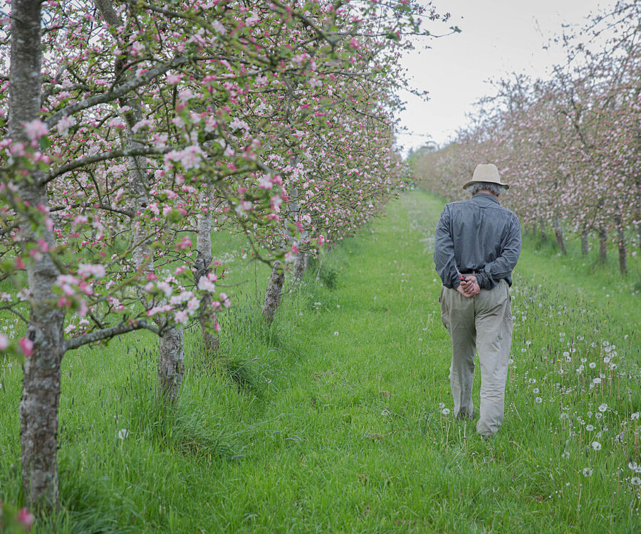 Highbank Orchard - Hotels in Kilkenny City, Kilkenny Hotels | Newpark ...